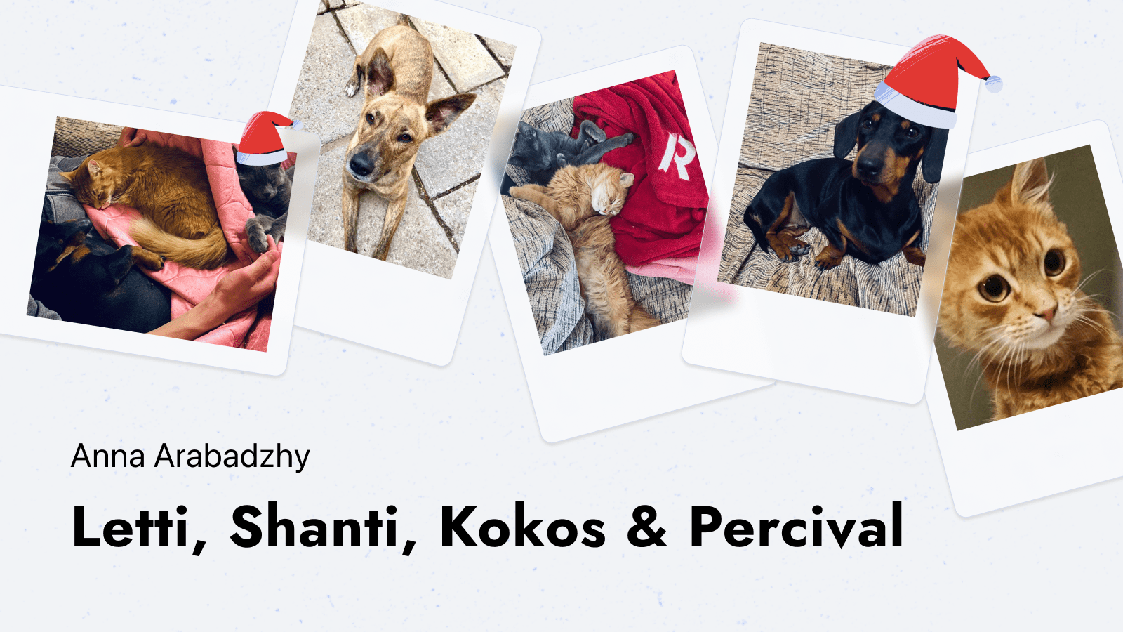 Operation Santa Paws days at Readdle